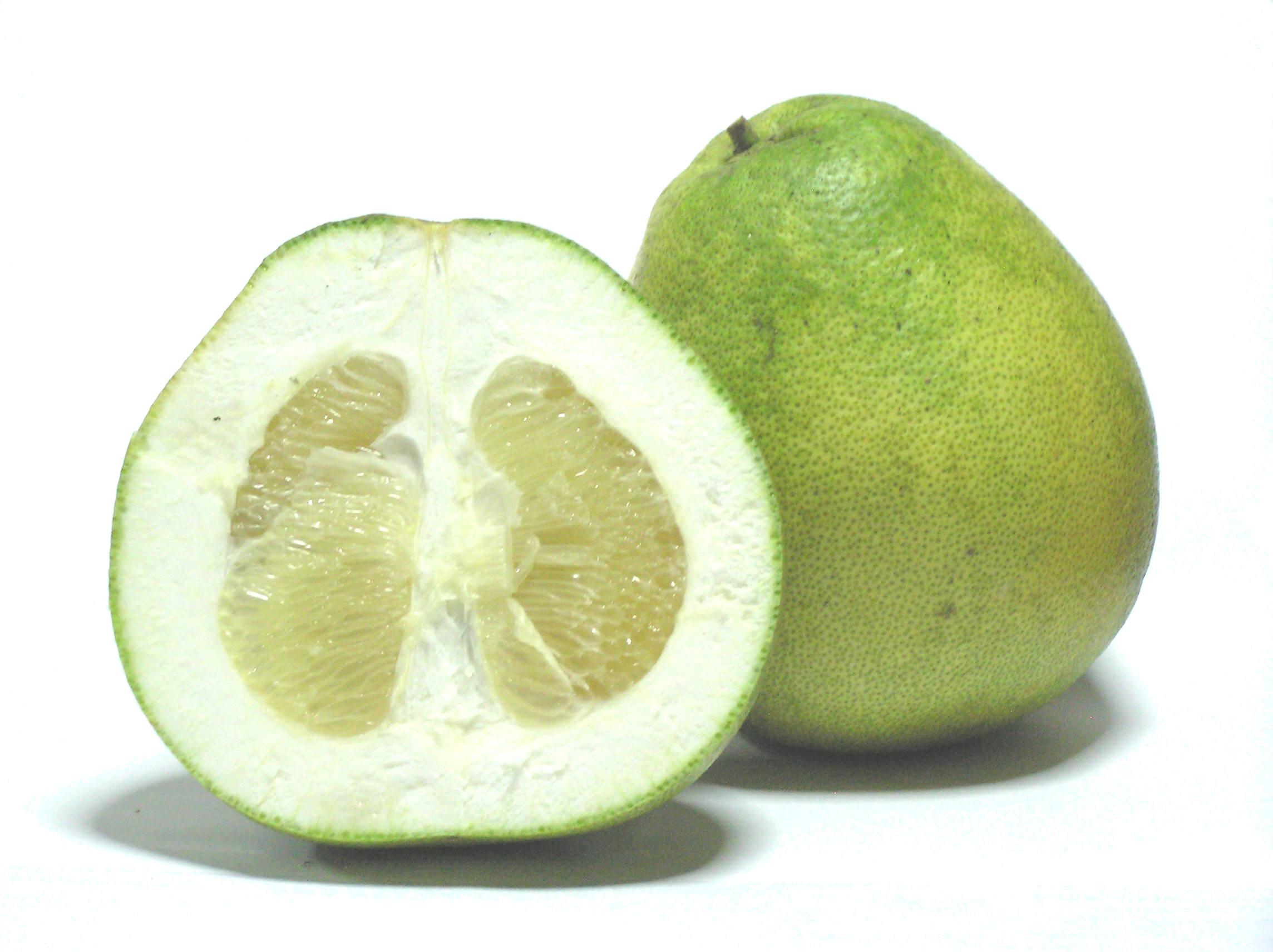 Optimal Soil for Growing Pomelo: What You Need to Know | ForwardPlant