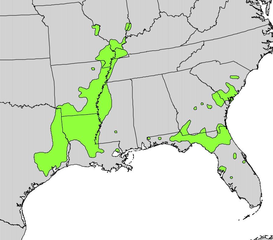 Water locust (Gleditsia aquatica) Care Guide: Pests, Diseases, Watering ...